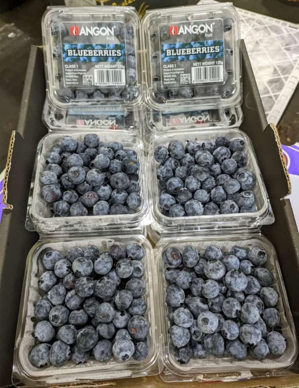 Blueberry Pack – JKTfresh