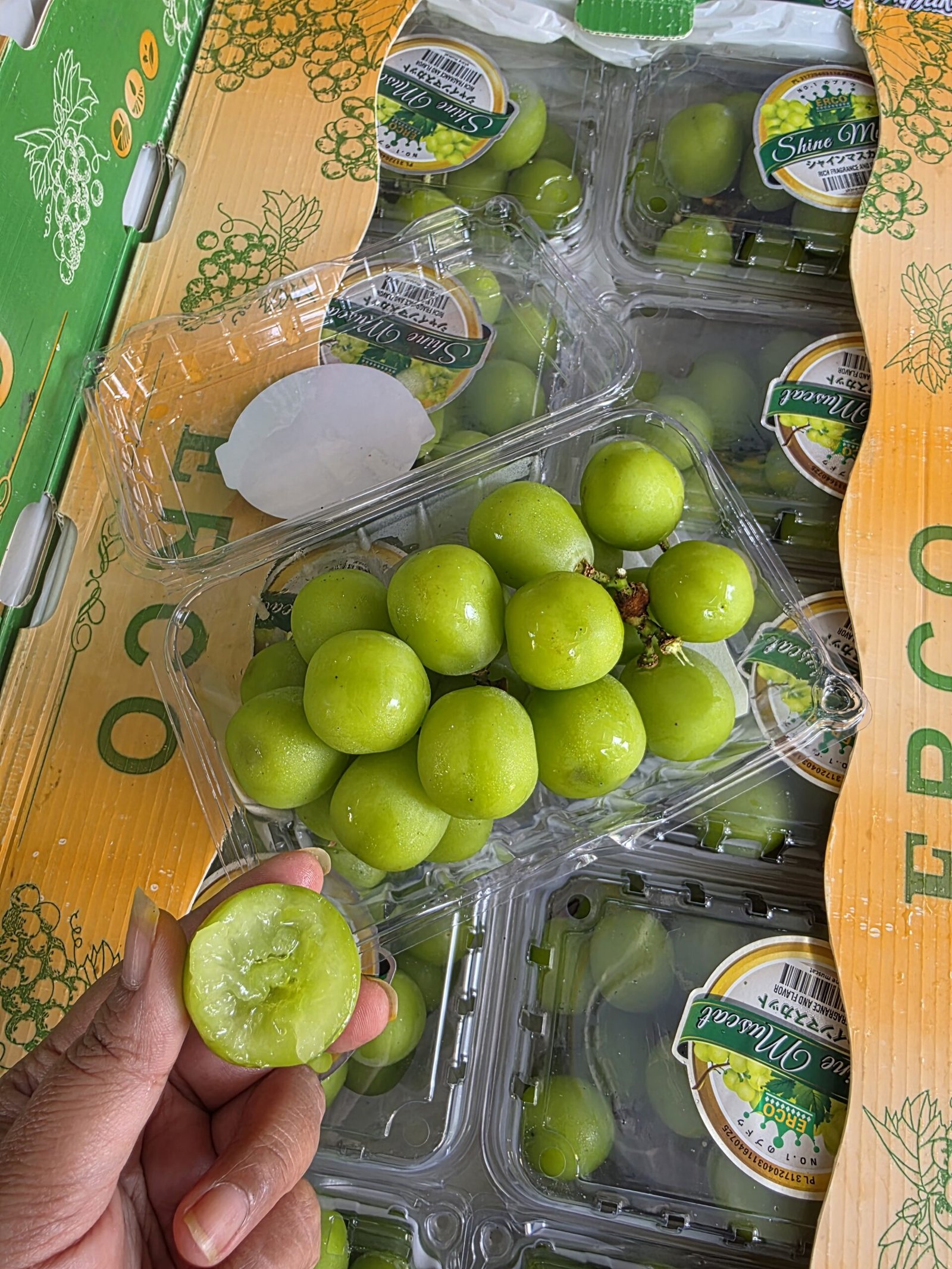 Shine Muscat – JKTfresh