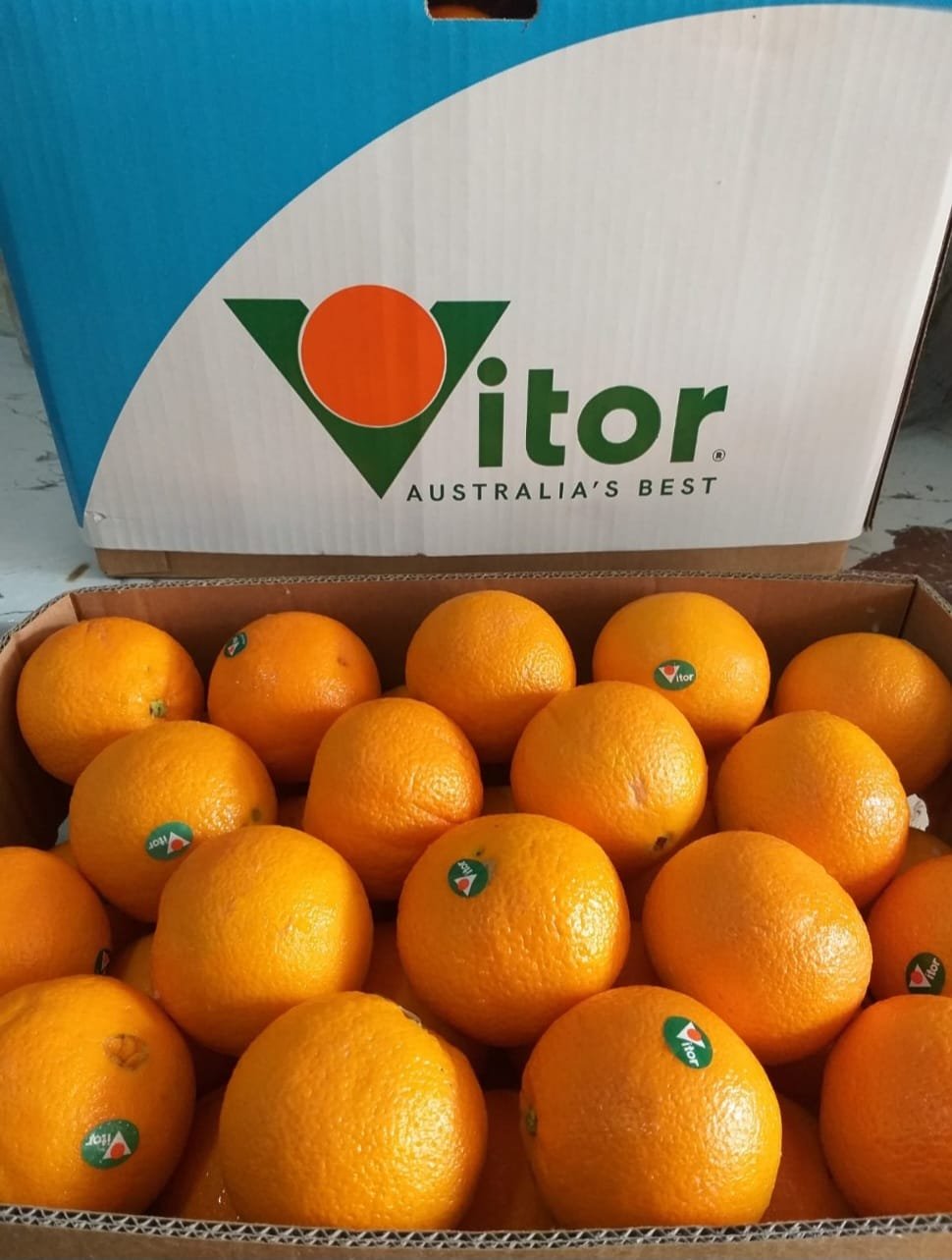 Sunkist Cara Cara Vitor – 1 kg – JKTfresh